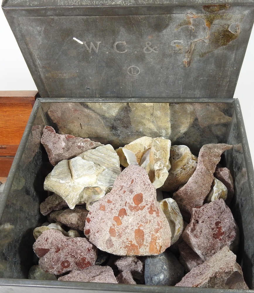 Lot 572 - A collection of coins and rocks