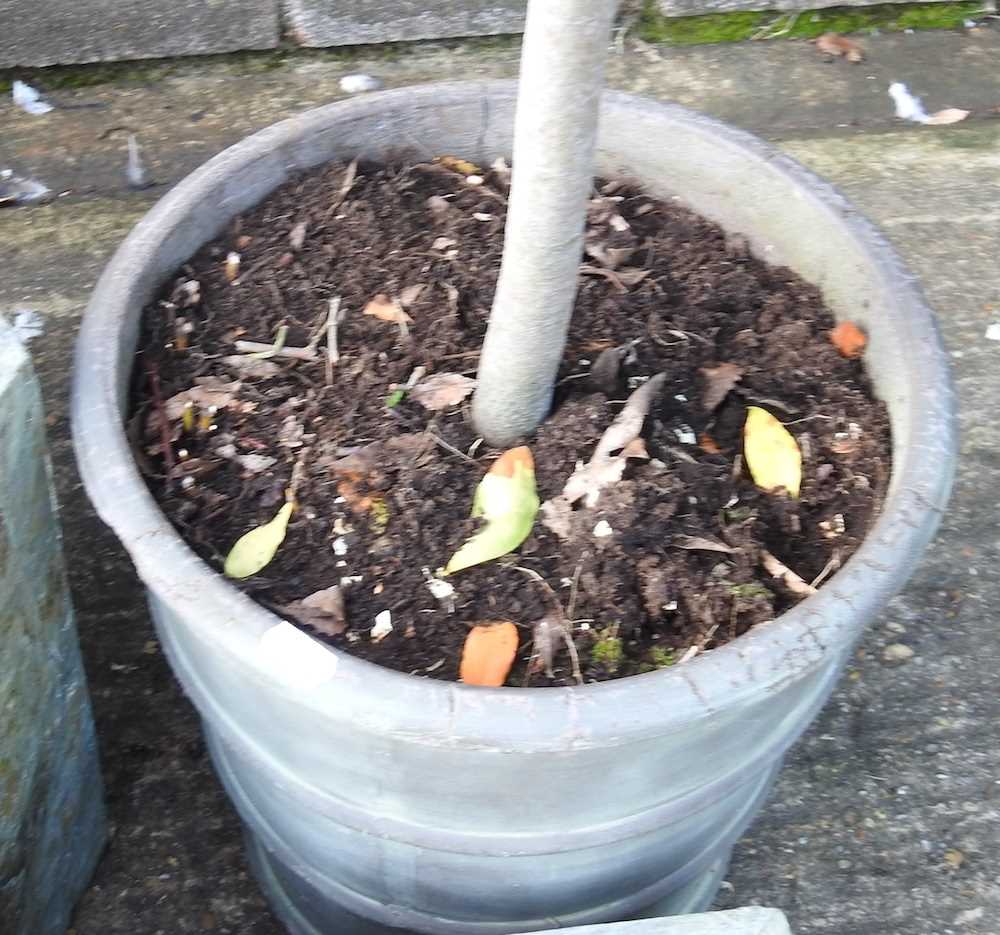 Lot 447 - A collection of stone garden pots, together