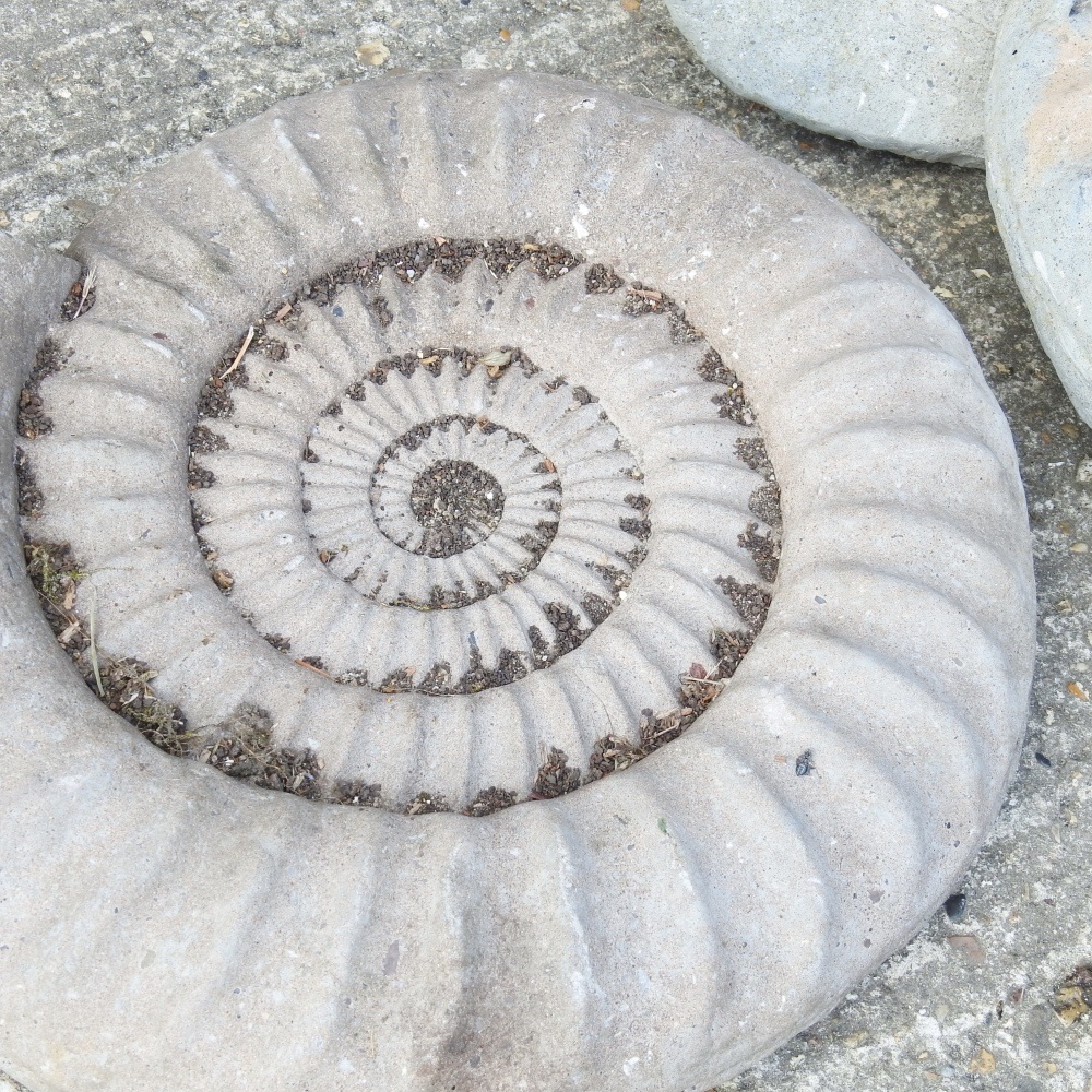 Lot 61 - A reconstituted stone ammonite, together with