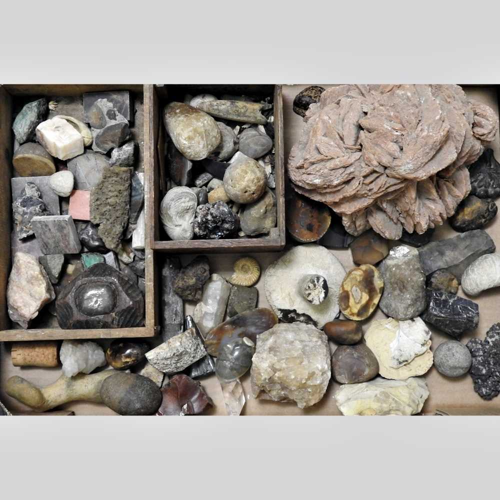 Lot 92 - A fossilised Moroccan desert rose, together