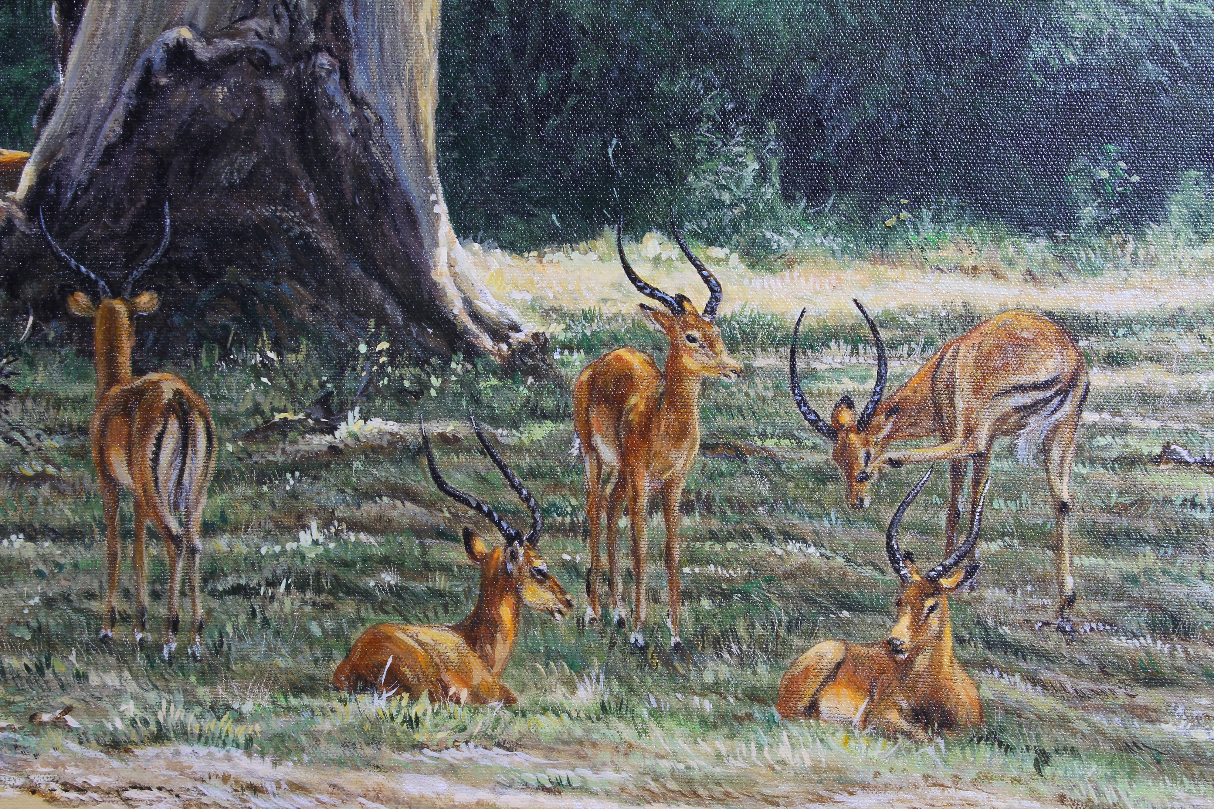 Lot 347 - Michael Kitchen-Hurle, Impalas in an African