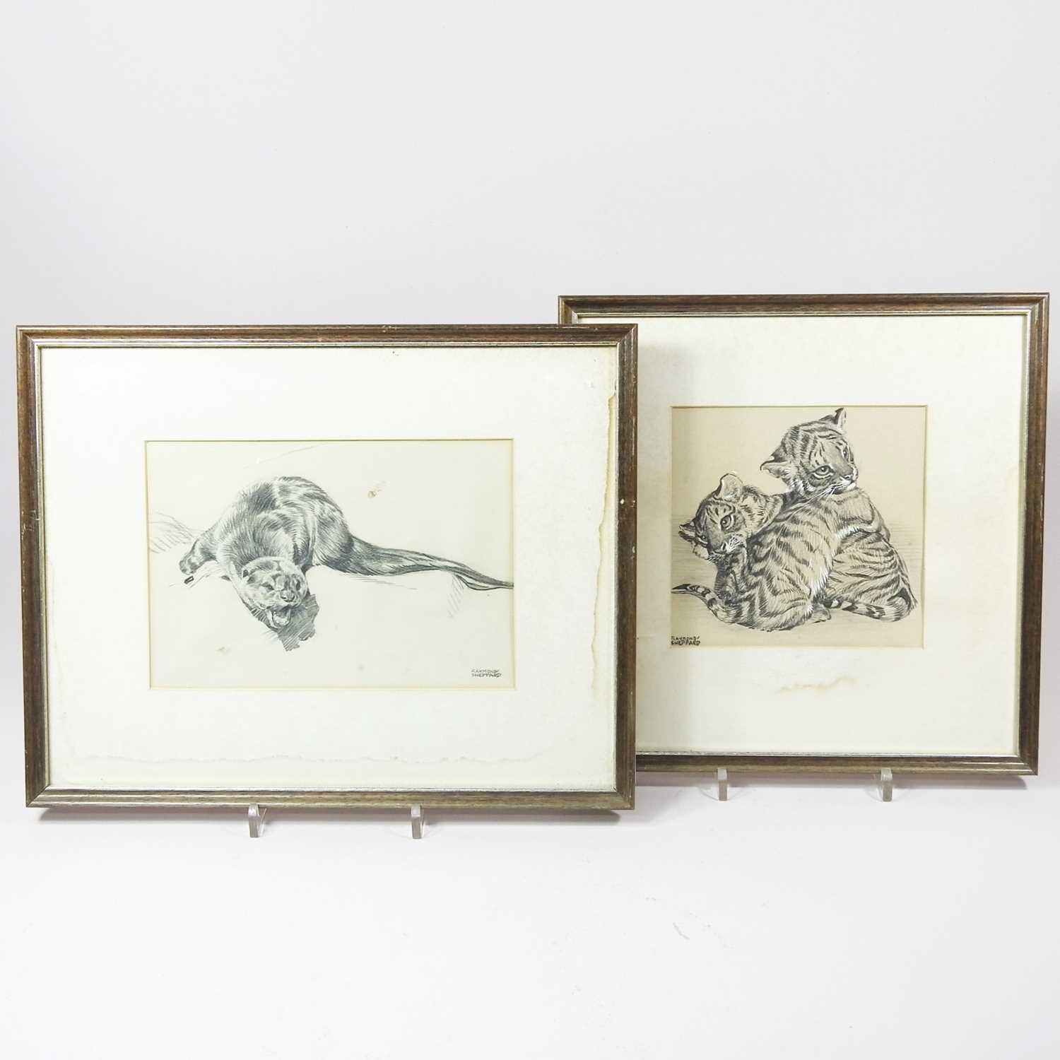 Lot 500 - Raymond Sheppard, 1913-1958, Tiger Cubs,
