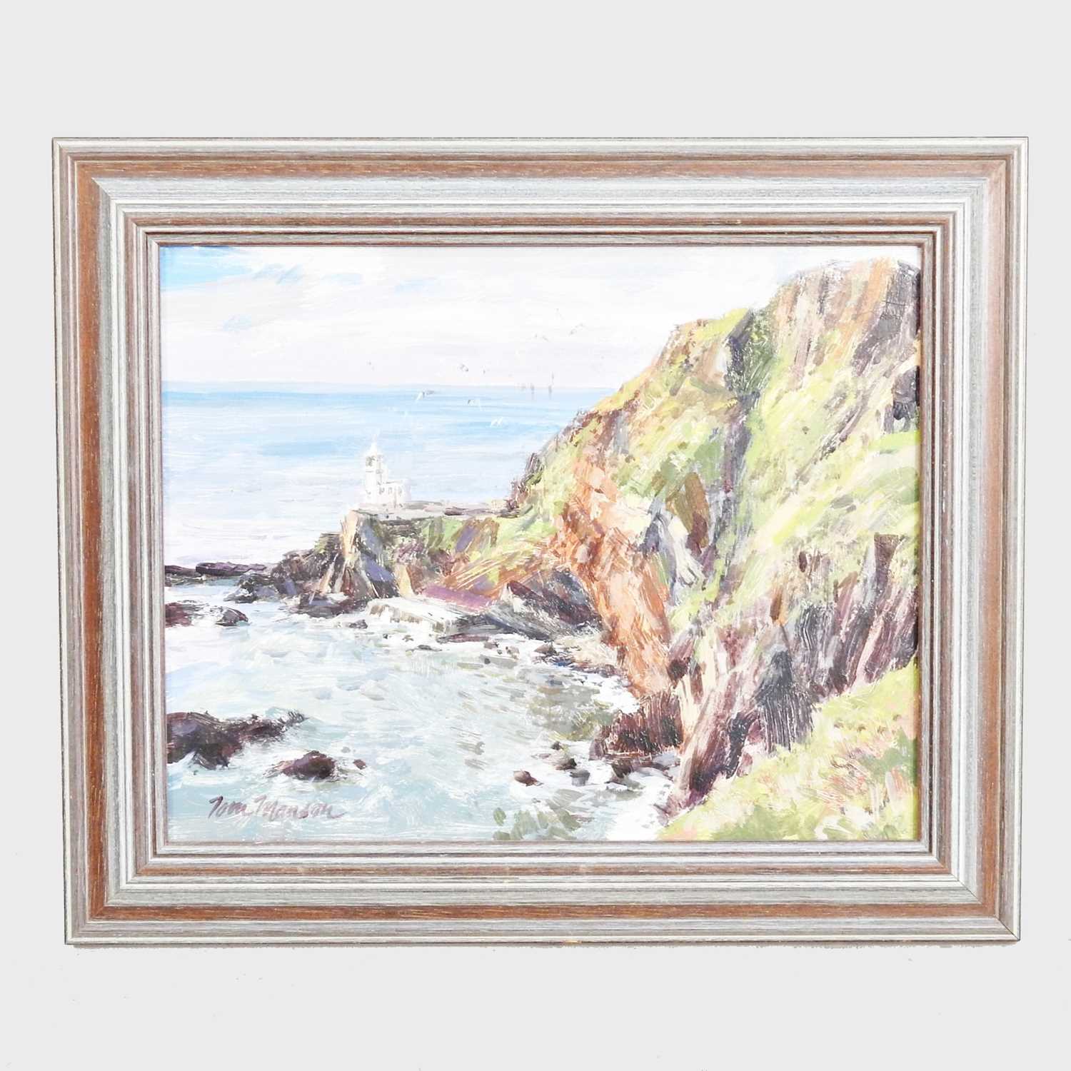 Lot 18 - Tom Manson, contemporary, Hartland Point,